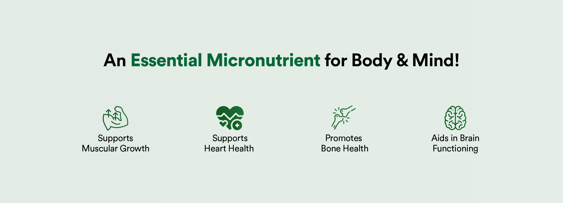 Buy INLIFE Multivitamin and Minerals Tablets | Online Supplements